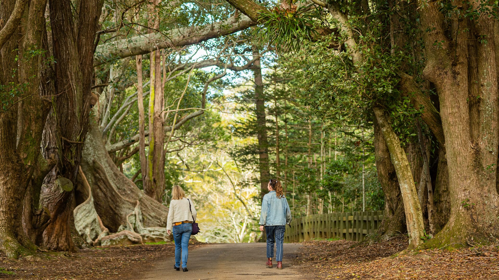 7 Night Be Guided Nature & Adventure Tour | Norfolk Island